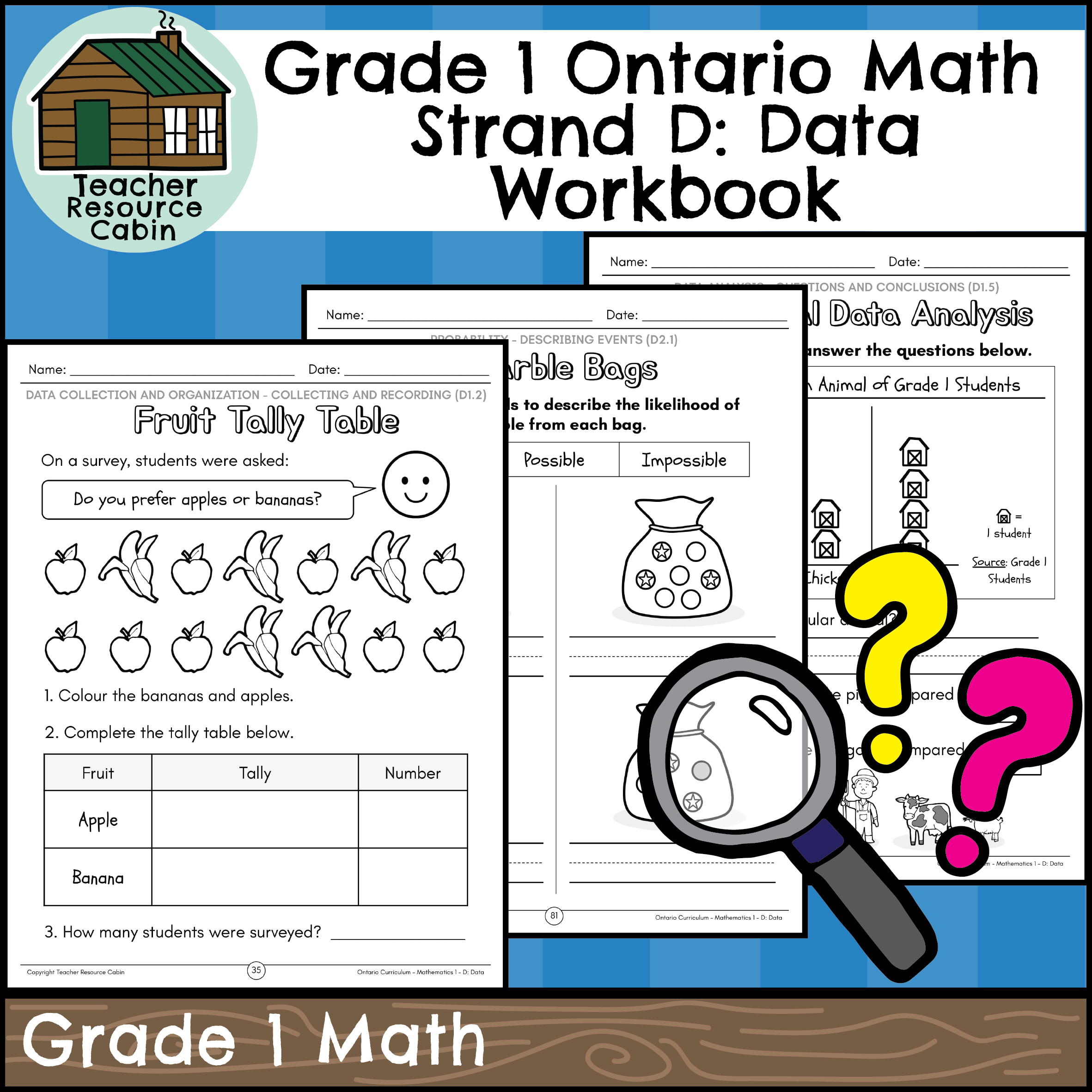 Grade 1 Data Workbook (Ontario Math) - Teacher Resource Cabin