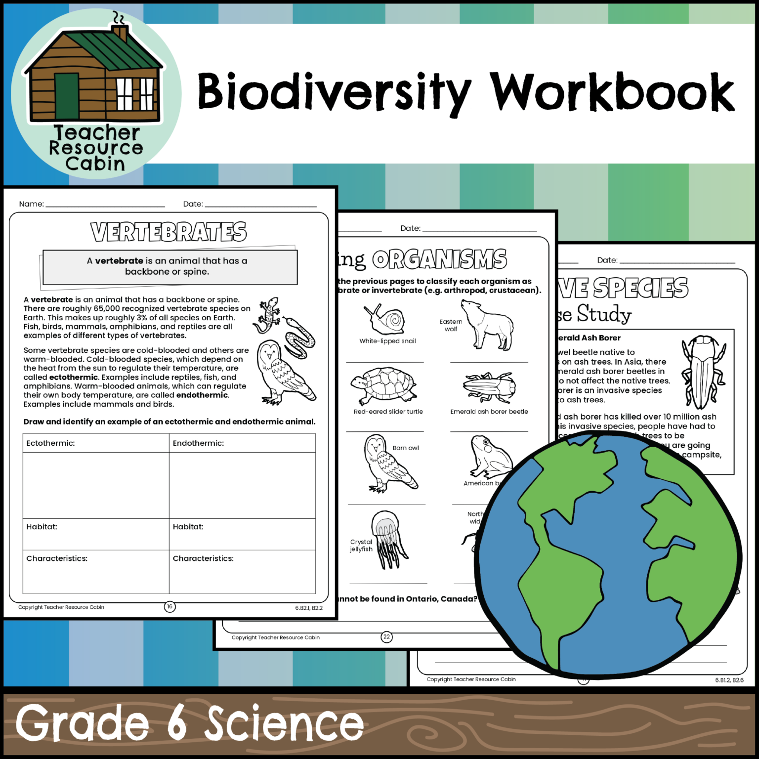 Biodiversity Workbook (Grade 6 Ontario Science) - Teacher Resource Cabin