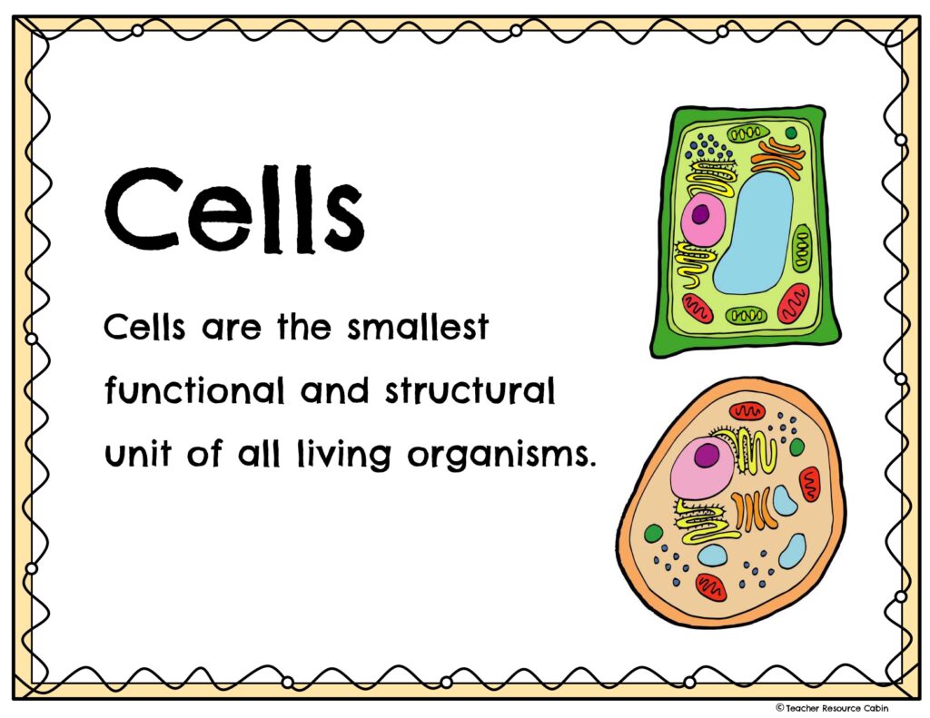 Grade 5 SCIENCE Word Wall and Posters - Teacher Resource Cabin
