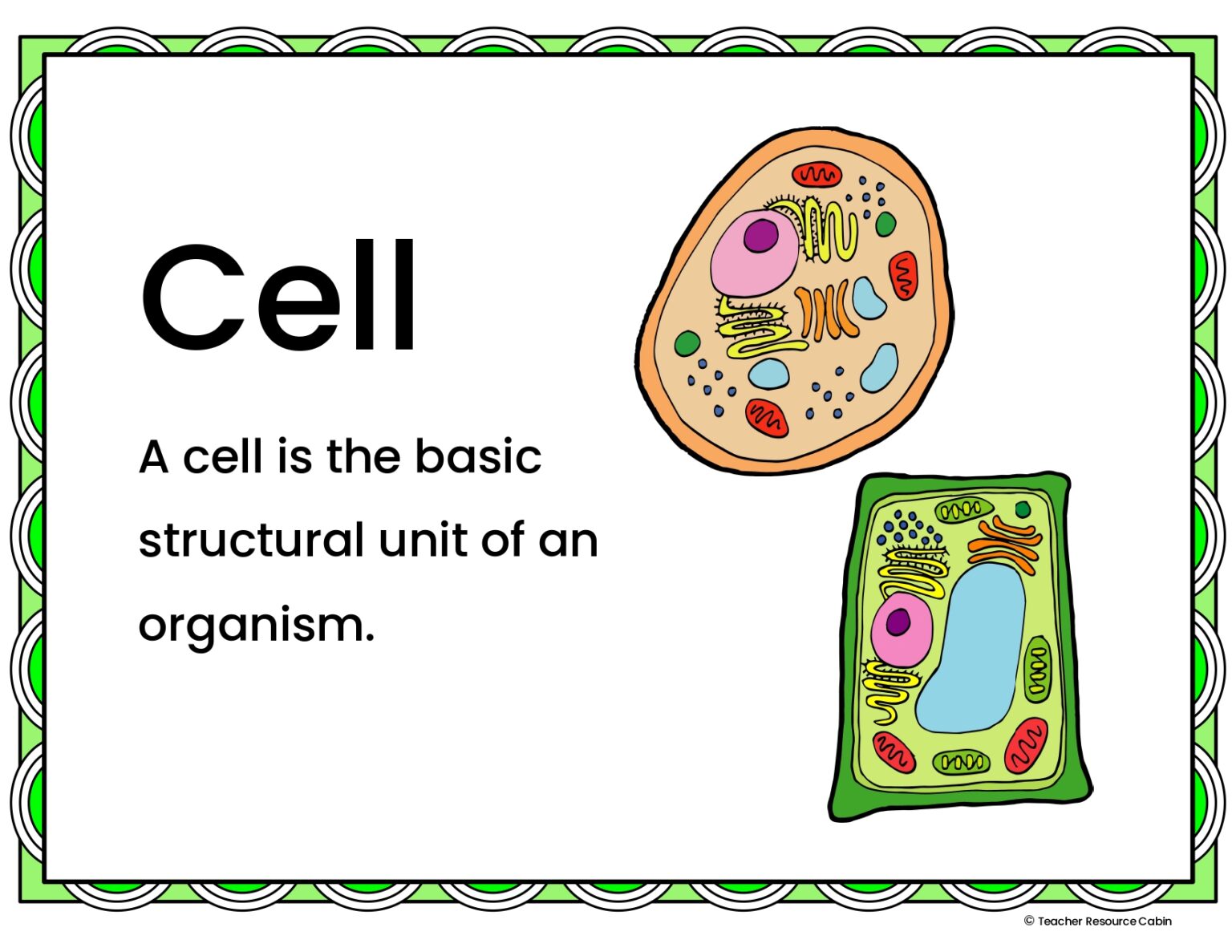 Grade 8 SCIENCE Word Wall and Posters - Teacher Resource Cabin