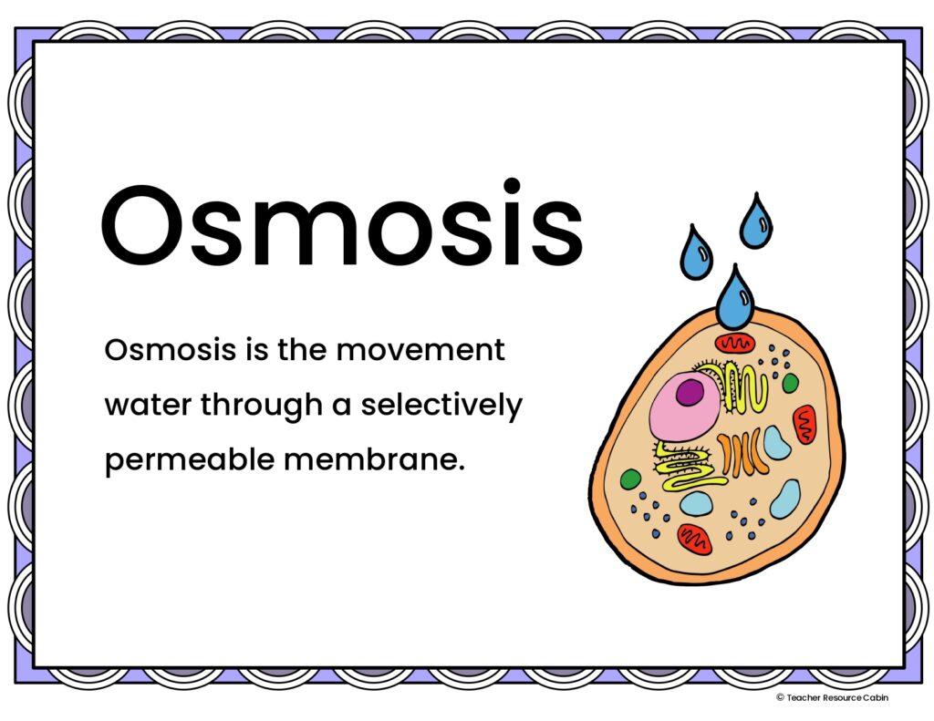 Grade 8 SCIENCE Word Wall and Posters - Teacher Resource Cabin