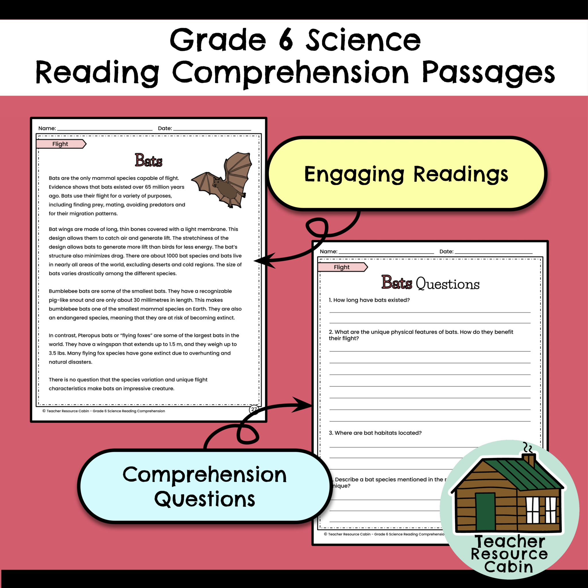 Grade 6 Science Reading Comprehension Passages and Questions - Teacher ...