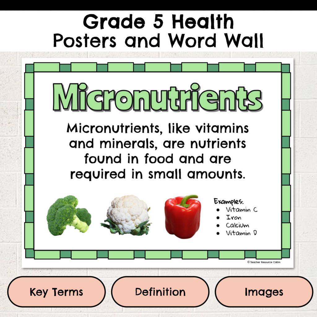Grade 5 Ontario Health Word Wall and Posters - Teacher Resource Cabin