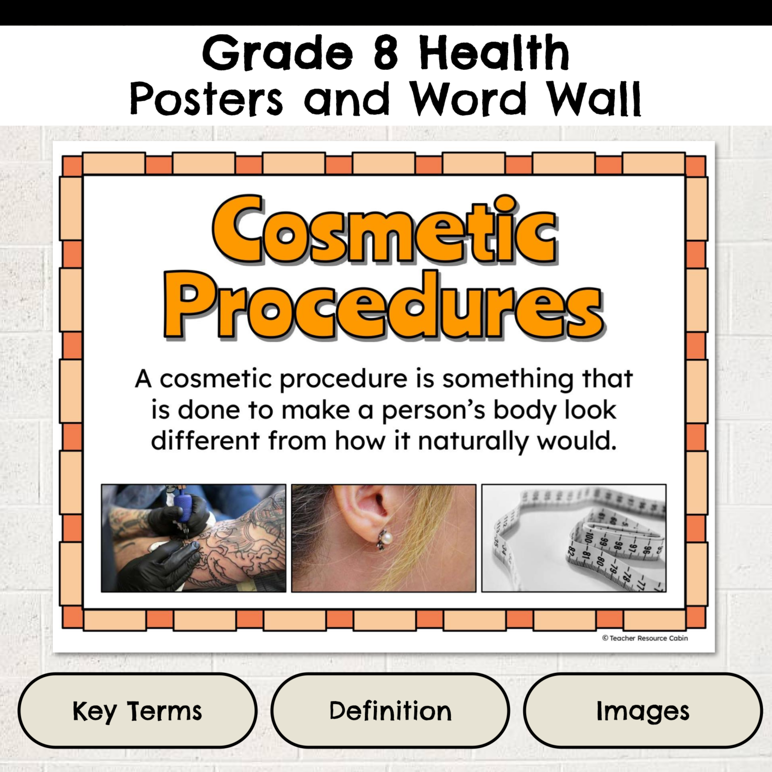 Grade 8 Ontario Health Word Wall and Posters - Teacher Resource Cabin