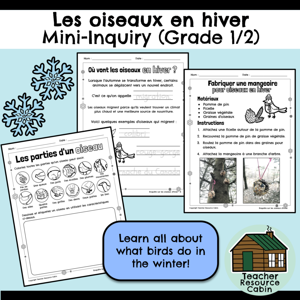 Les oiseaux en hiver - Winter Birds Inquiry (Grade 1/2 FRENCH Science ...