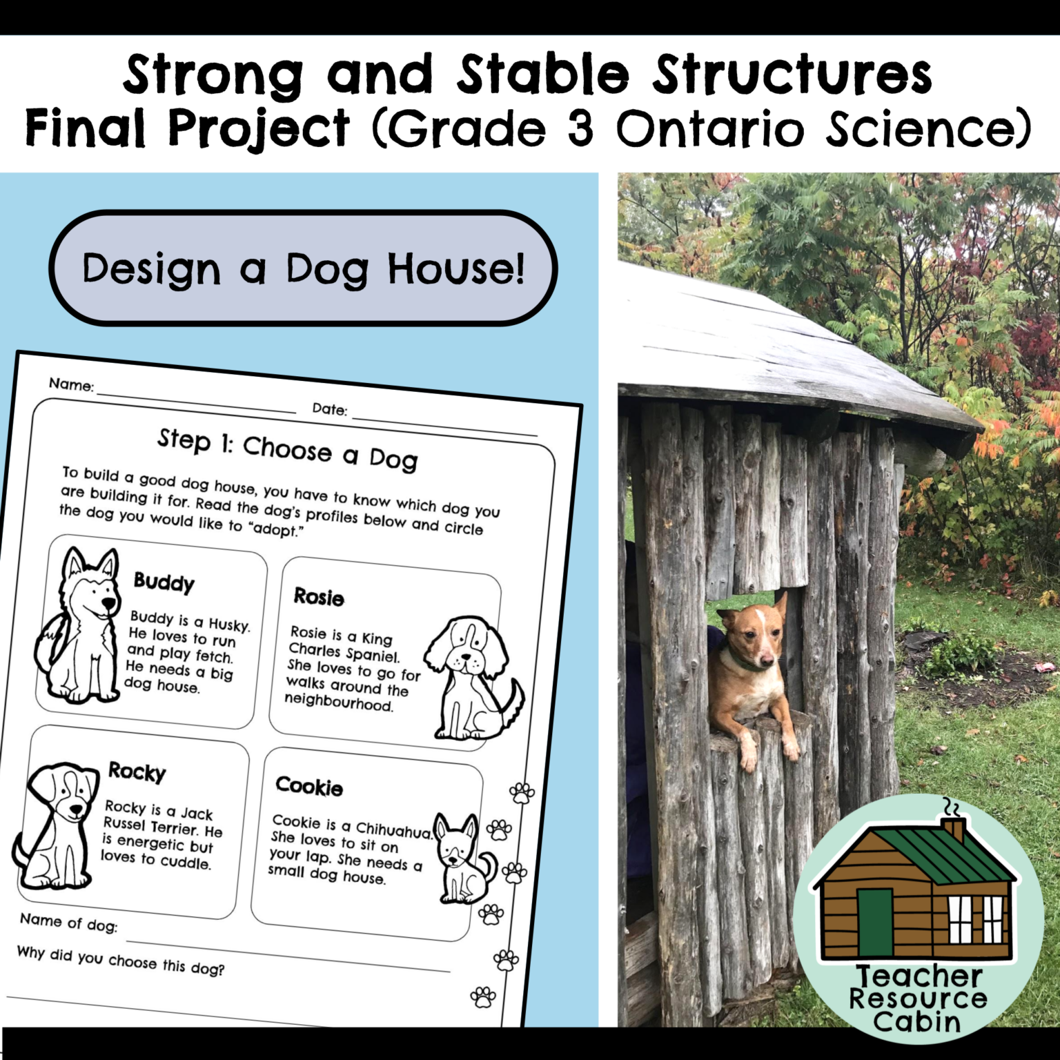 Design a Dog House Strong and Stable Structures Final Project (Grade 3 ...