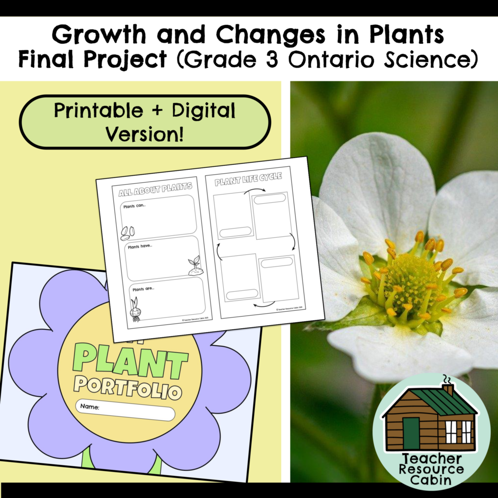 Plant Portfolio - Growth and Changes in Plants Final Project (Grade 3 ...