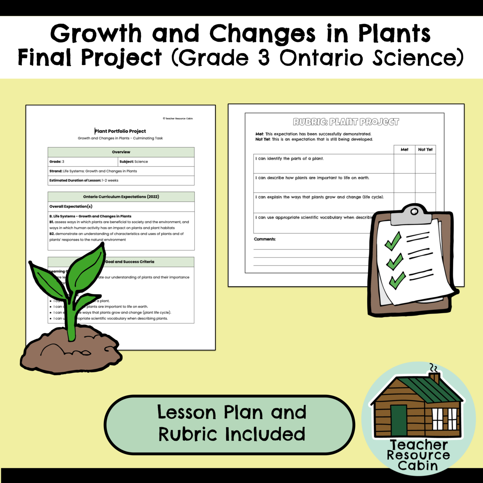 Plant Portfolio - Growth and Changes in Plants Final Project (Grade 3 ...