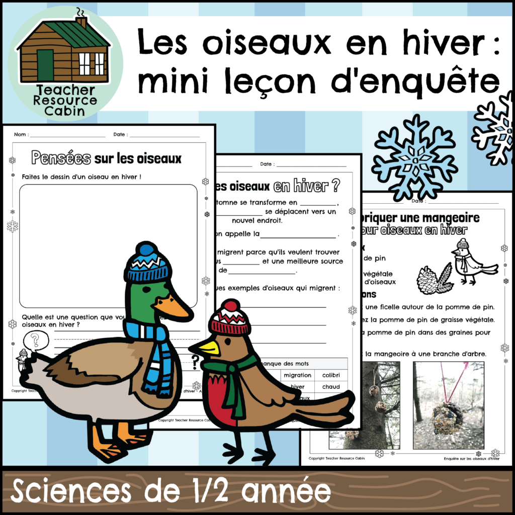 Les oiseaux en hiver - Winter Birds Inquiry (Grade 1/2 FRENCH Science ...