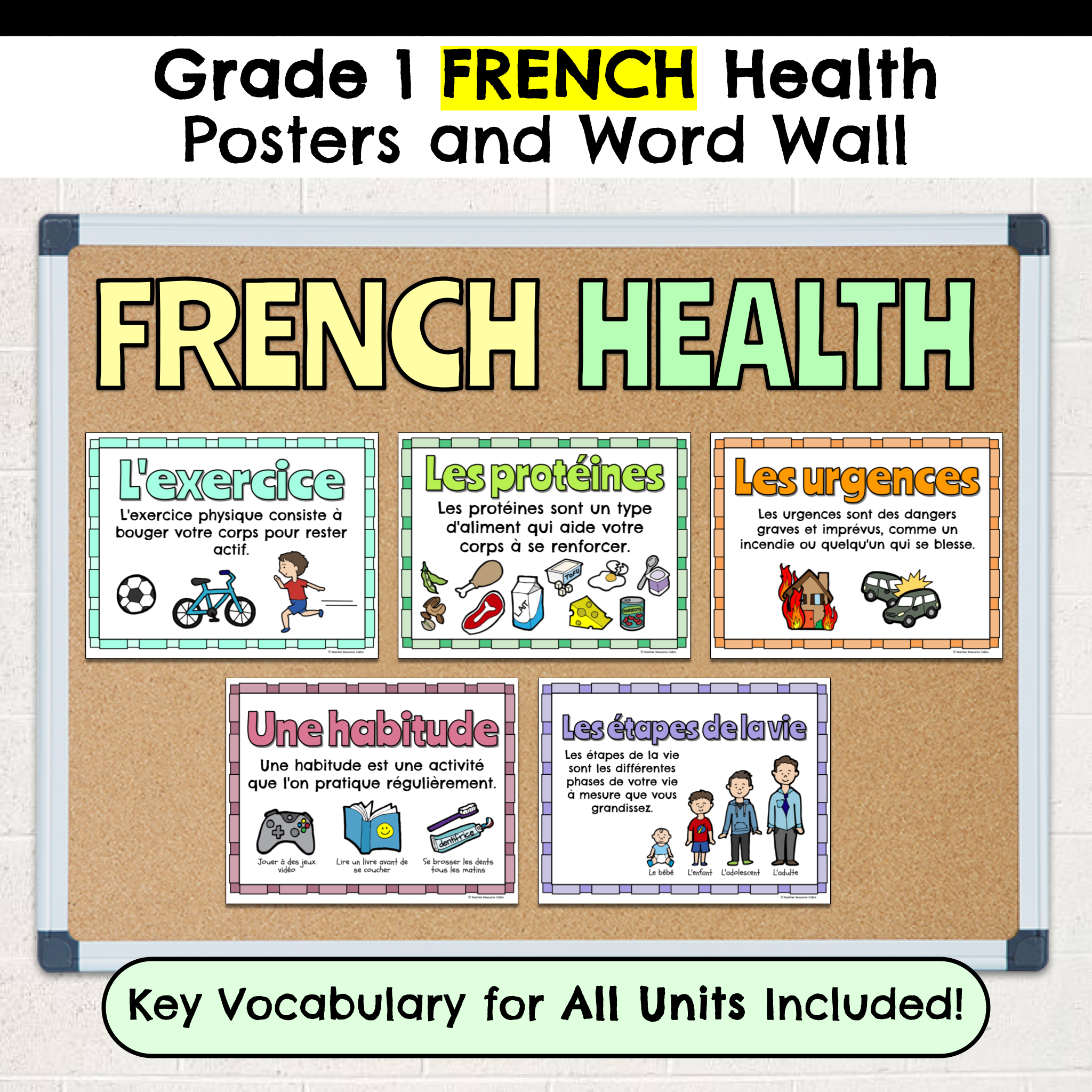 Grade 1 Ontario FRENCH Health Word Wall and Posters - Teacher Resource ...