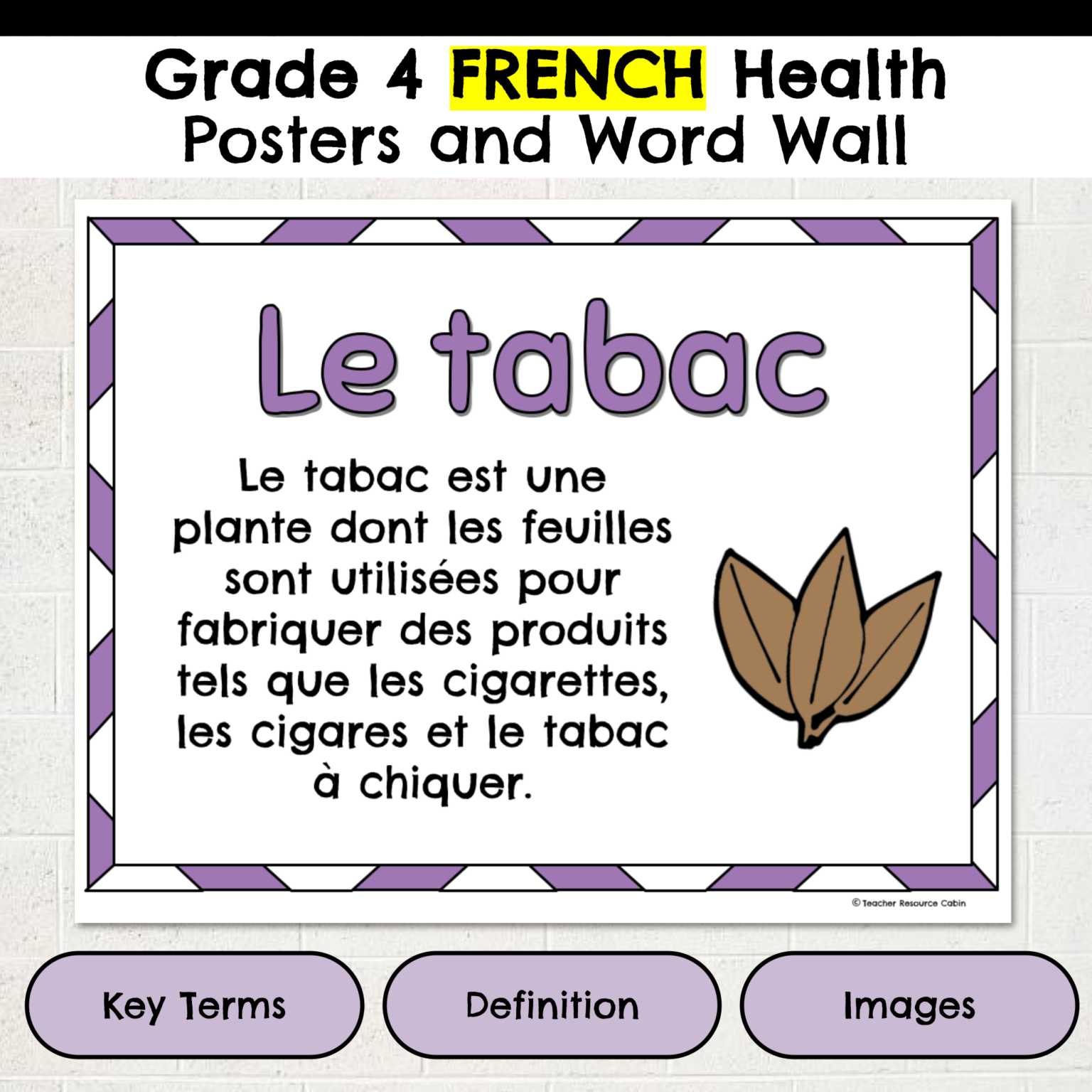Grade 4 Ontario FRENCH Health Word Wall and Posters - Teacher Resource ...