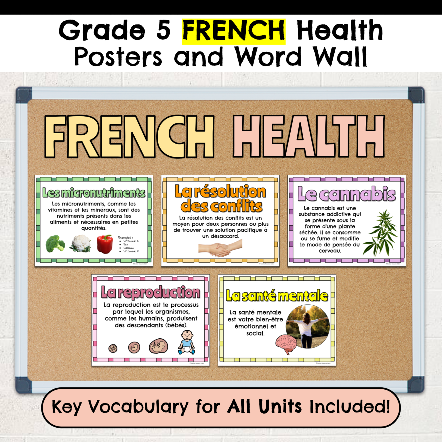 Grade 5 Ontario FRENCH Health Word Wall and Posters - Teacher Resource ...