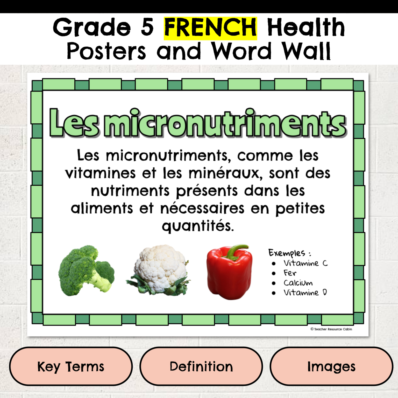 Grade 5 Ontario FRENCH Health Word Wall and Posters - Teacher Resource ...