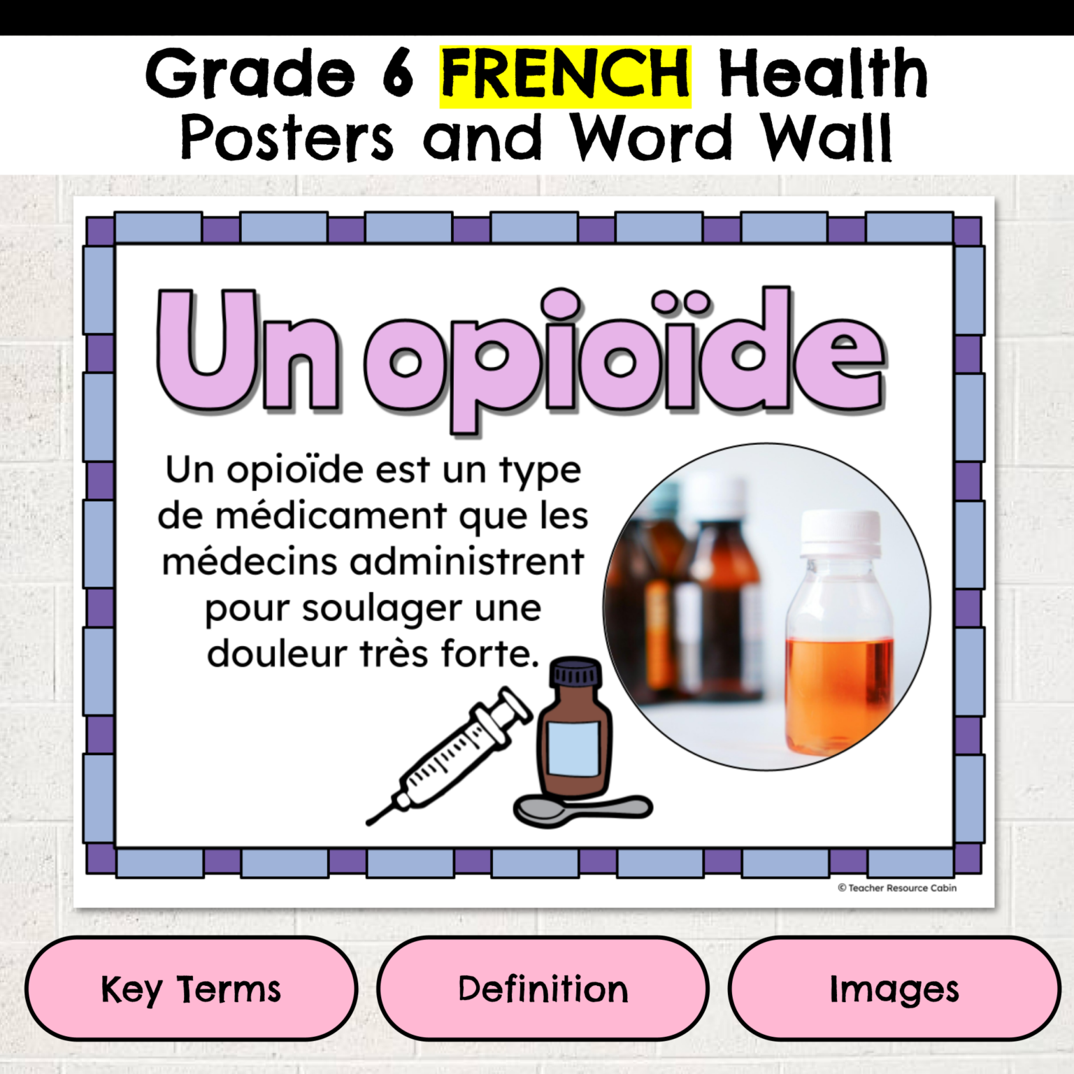 Grade 6 Ontario FRENCH Health Word Wall and Posters - Teacher Resource ...