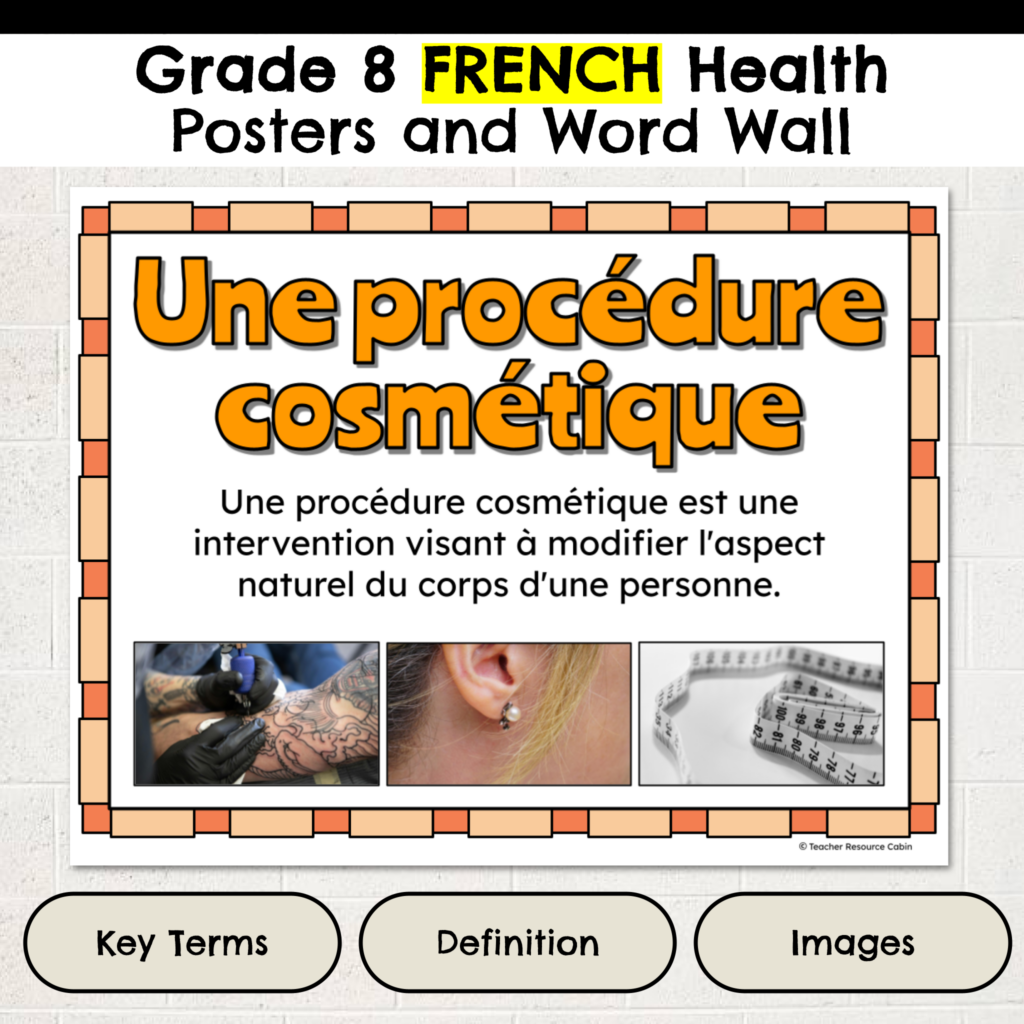 Grade 8 Ontario FRENCH Health Word Wall and Posters - Teacher Resource ...