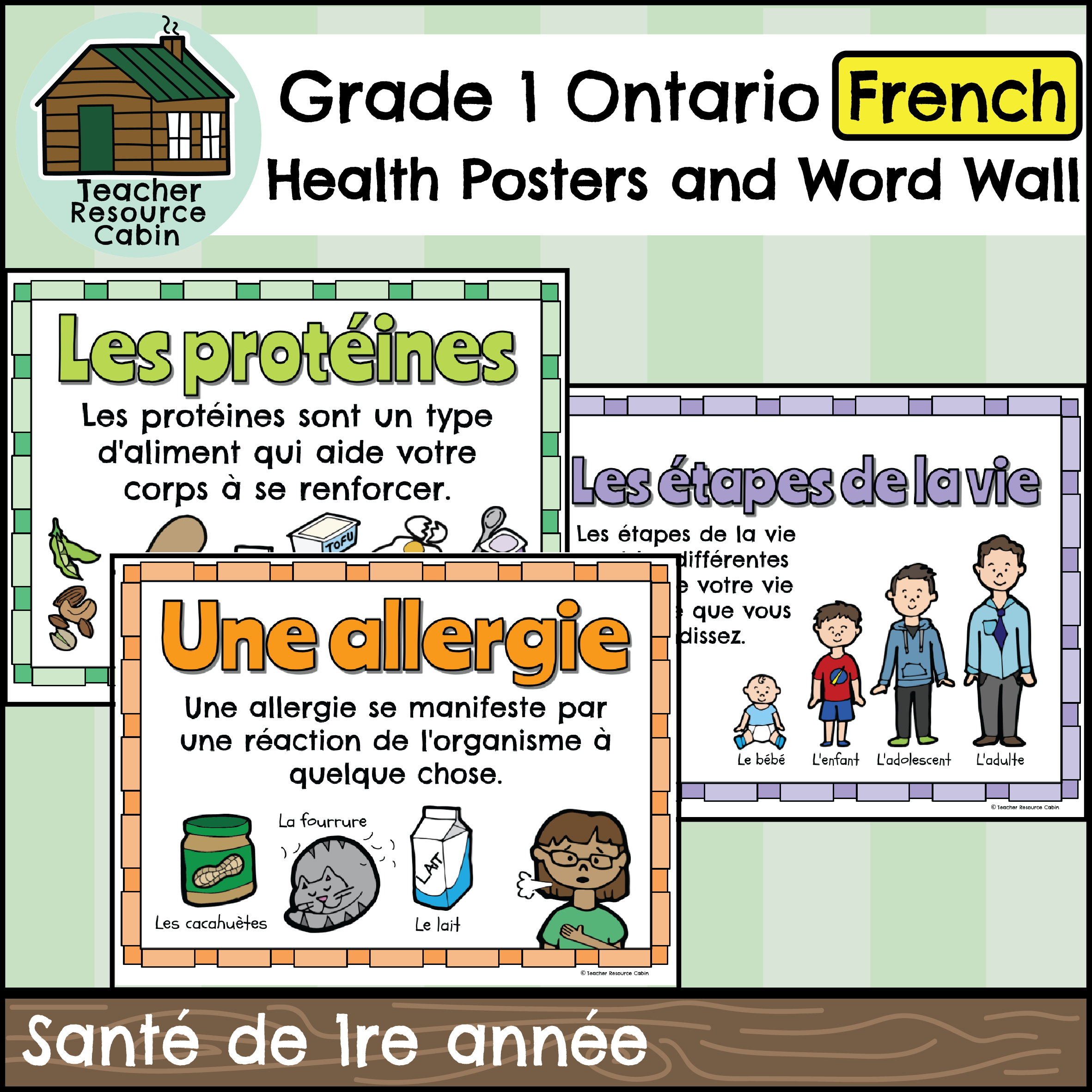 Grade 1 Ontario FRENCH Health Word Wall and Posters - Teacher Resource ...