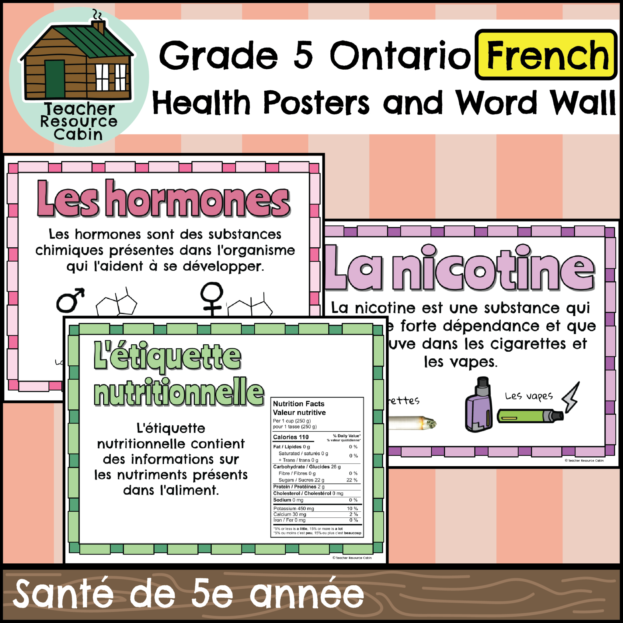 Grade 5 Ontario FRENCH Health Word Wall and Posters - Teacher Resource ...