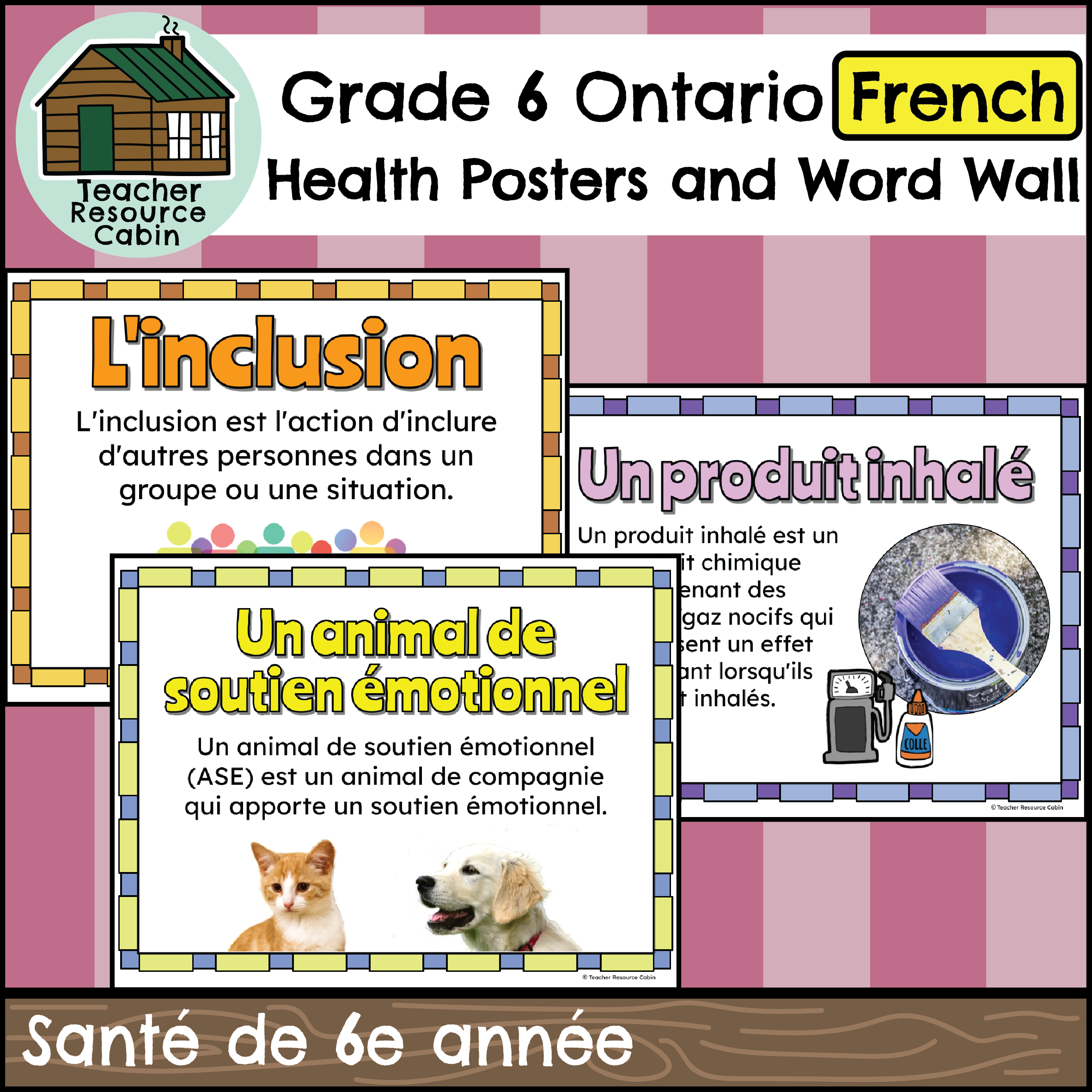 Grade 6 Ontario FRENCH Health Word Wall and Posters - Teacher Resource ...