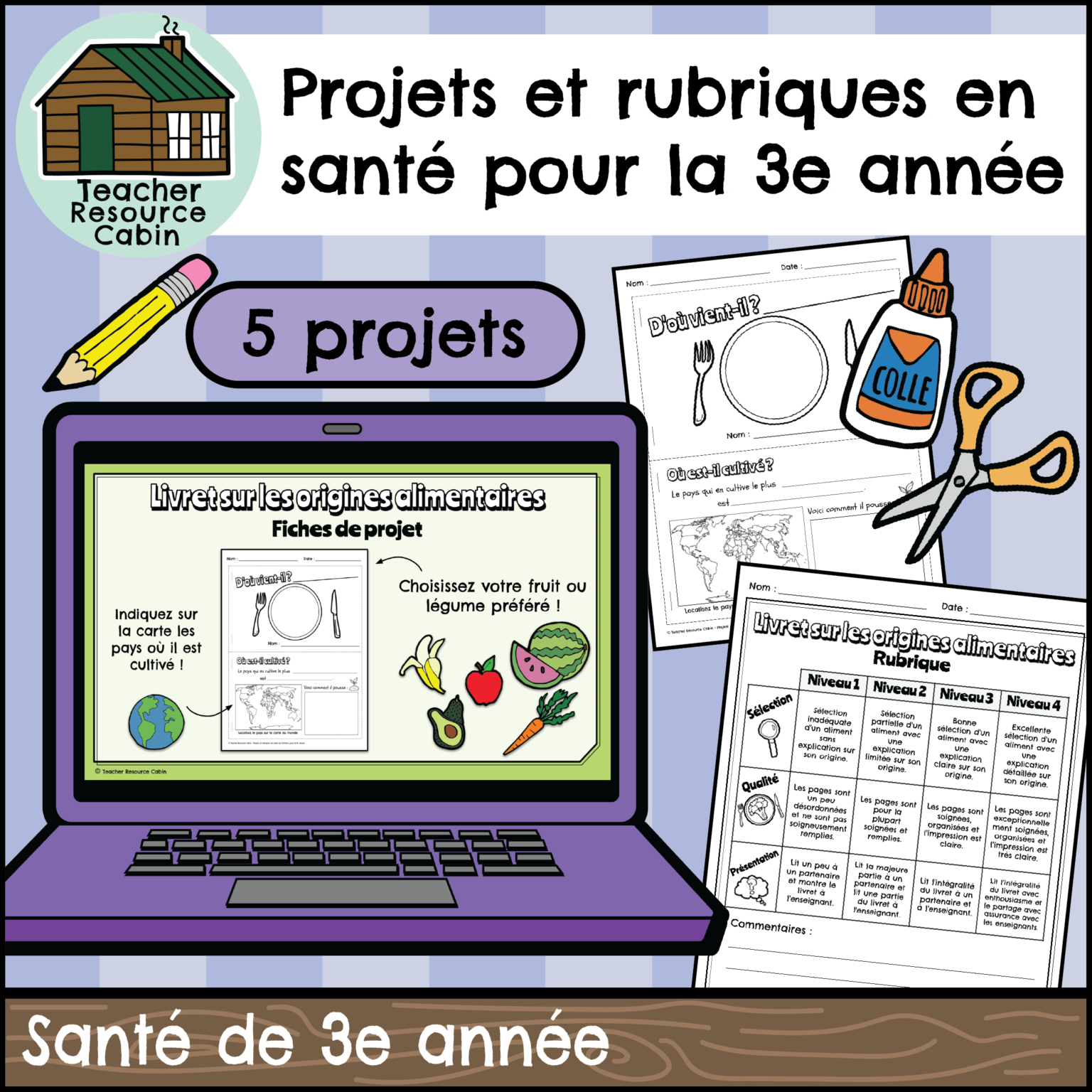 Grade 3 FRENCH Health Projects and Rubrics - Includes Google Slides ...