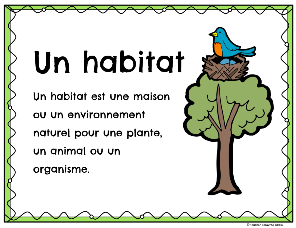 Grade 4 FRENCH SCIENCE Word Wall and Posters - Teacher Resource Cabin
