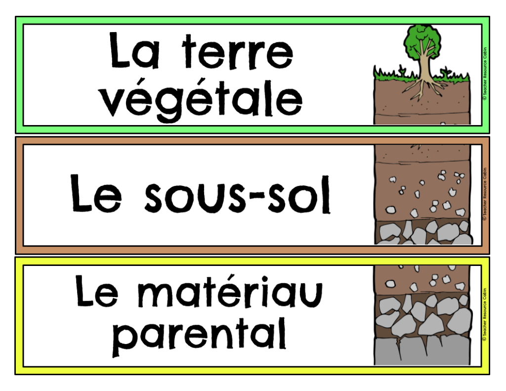 Grade 3 FRENCH SCIENCE Word Wall and Posters - Teacher Resource Cabin