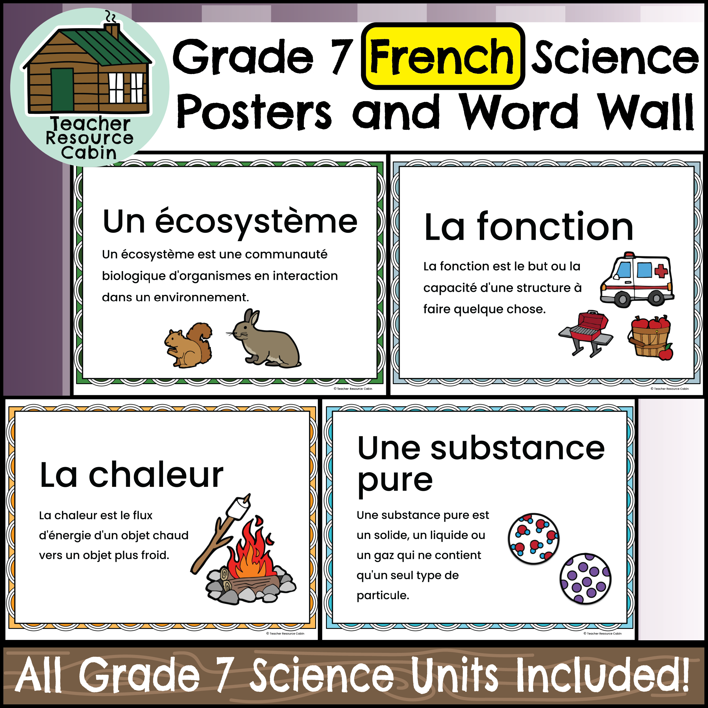 Grade 7 FRENCH SCIENCE Word Wall and Posters - Teacher Resource Cabin